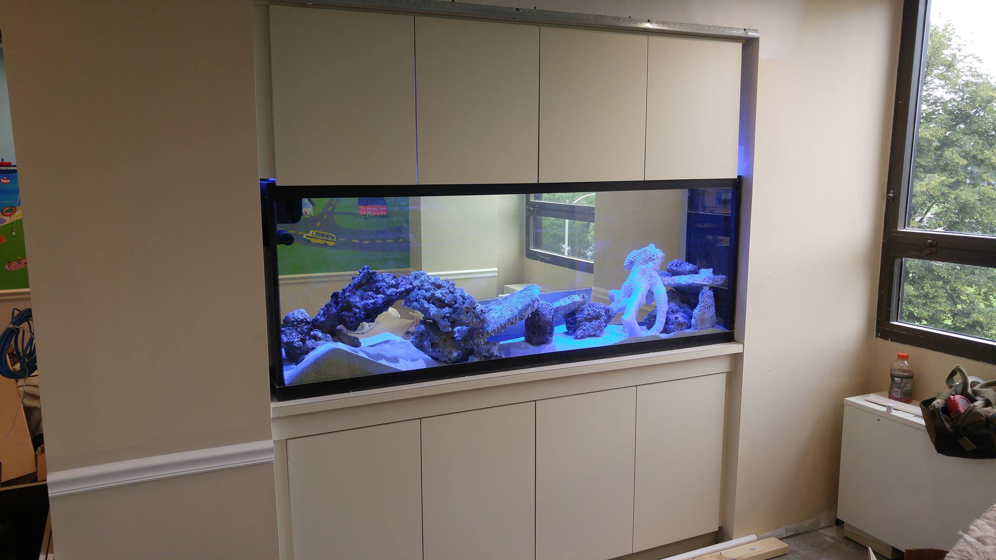 In-wall Reef – Capital Aquarium