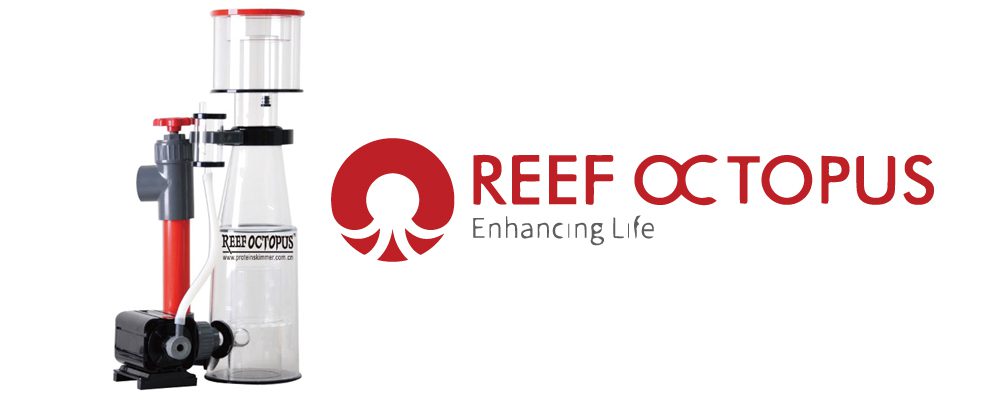 reef store northern virginia va – Capital Aquarium